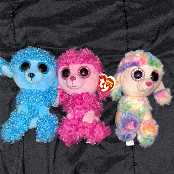 Toys | Ty Beanie Boo Poodle Collection | Poshmark